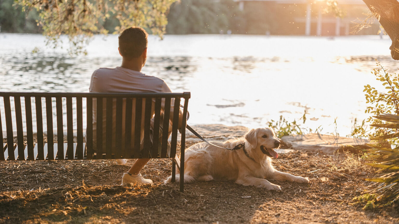 Why Old West Austin Remains One of the Most Desirable Neighborhoods in ...